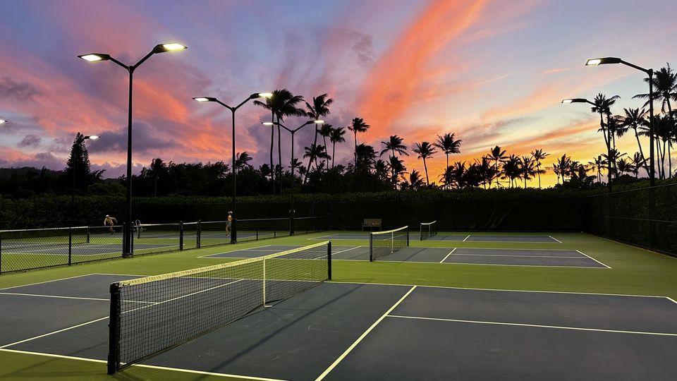 10 Tips For Choosing The Right Pickleball Court Color Scheme – Hikeen